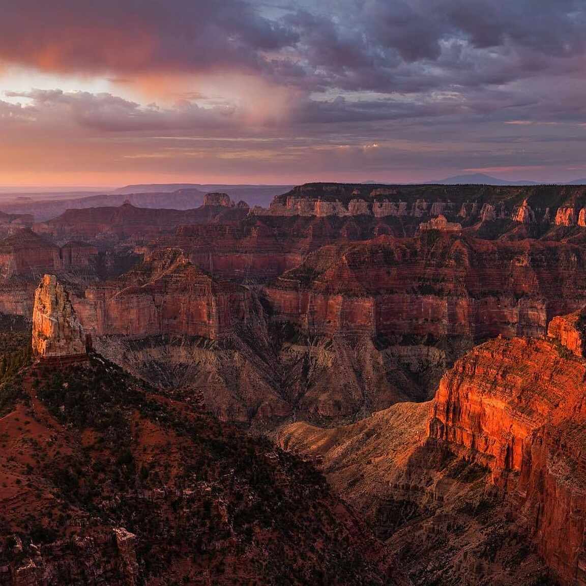 GCC Book Club: The Grandest Trek | Grand Canyon Conservancy