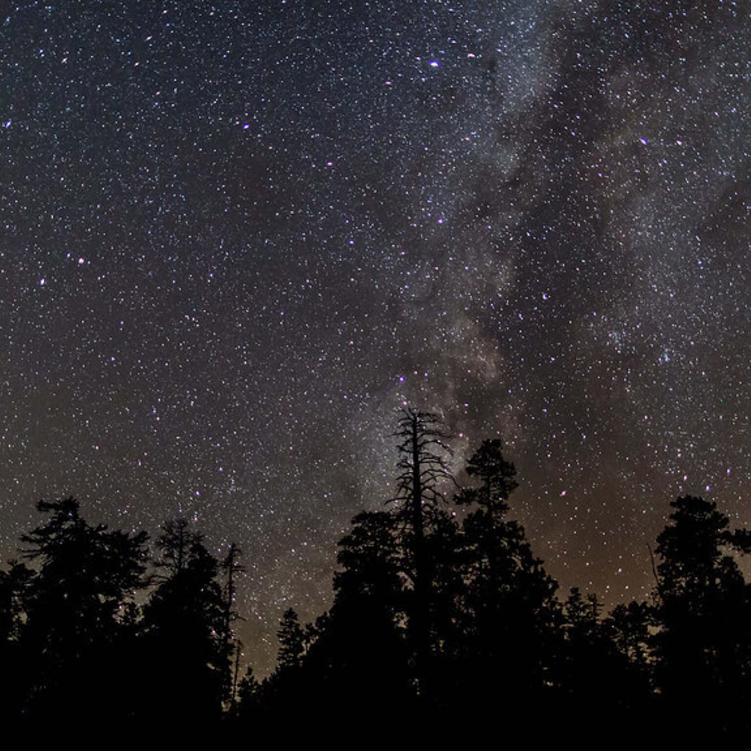 Stars in Time with Astronomer in Residence… | Grand Canyon Conservancy